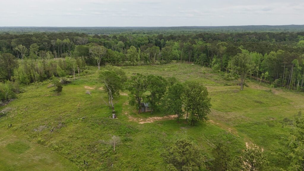 33 Acres, Attala County, MS – Backwoods Land Company
