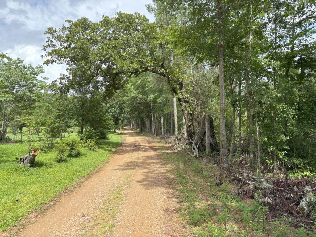 10 Acres, Leake County, MS #3 – Backwoods Land Company