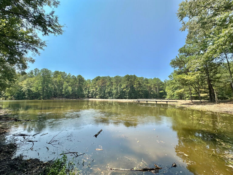 61 Acres, Hinds County, MS – Backwoods Land Company