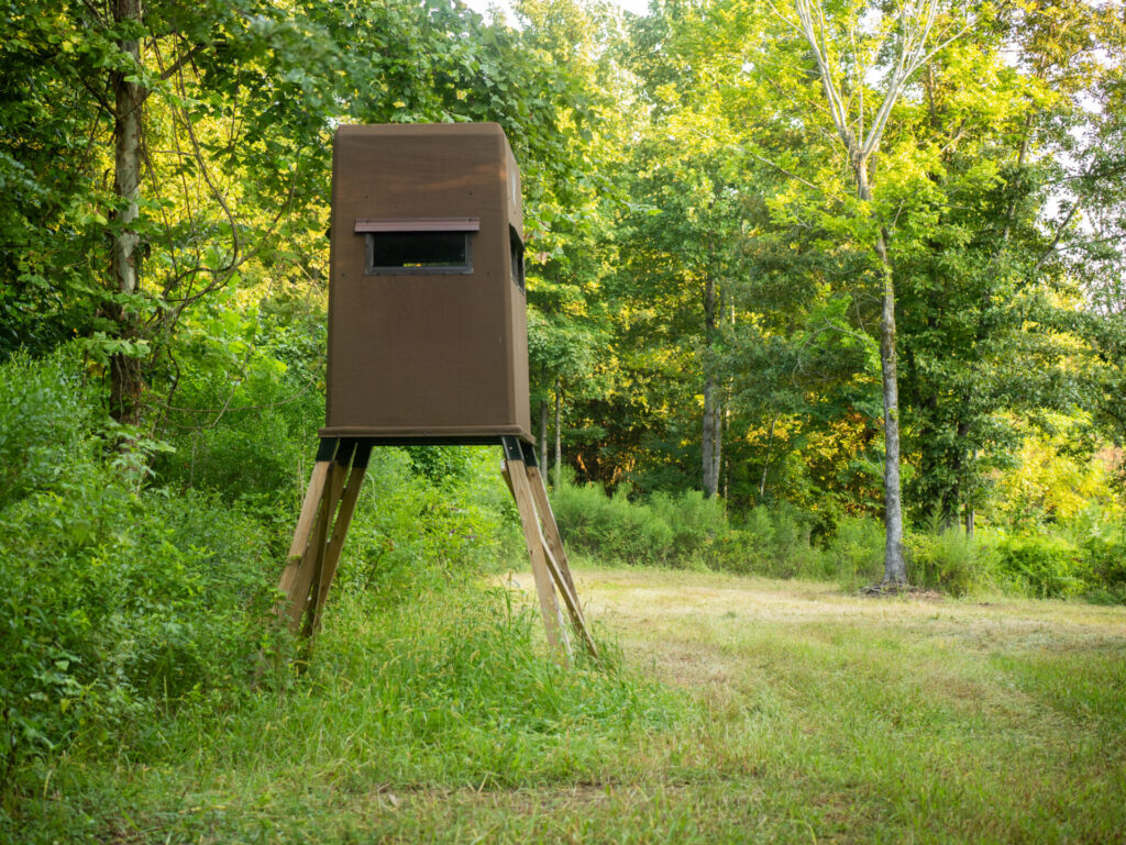 158 Acres, Holmes County, MS – Backwoods Land Company